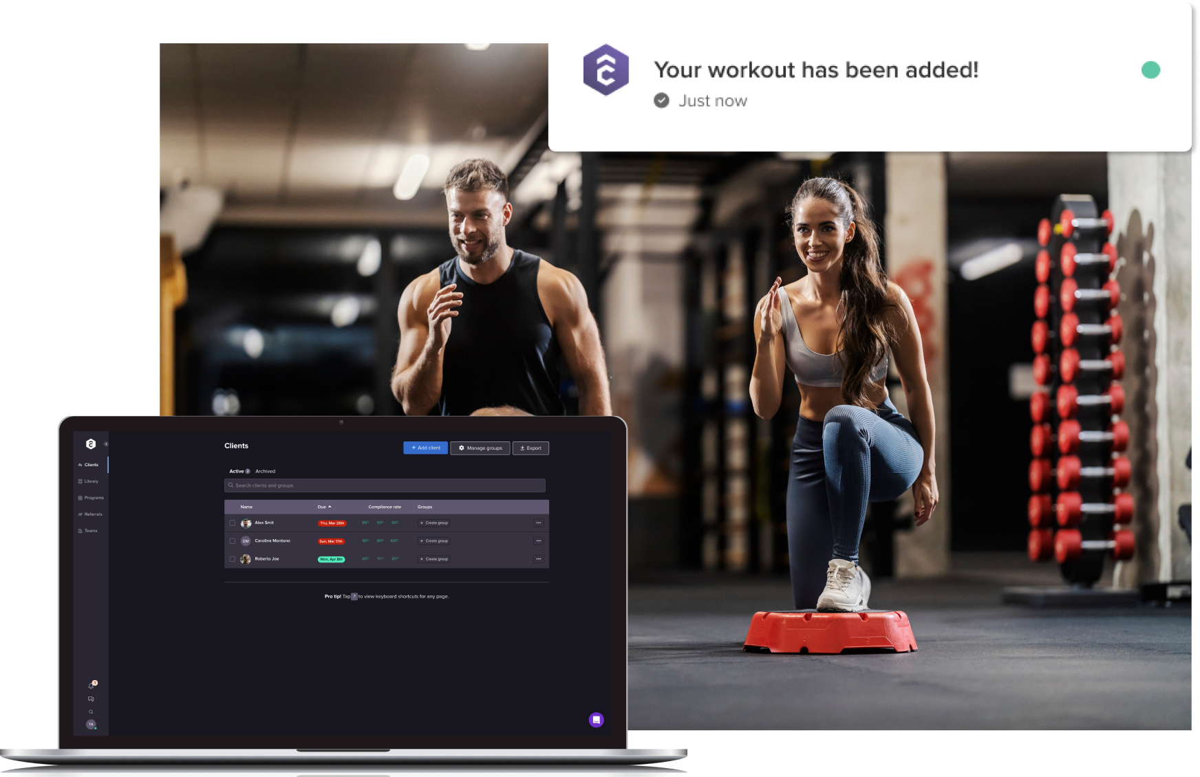 TrueCoach Dashboard - Dashboard, Workout Builder, Exercise Library ...